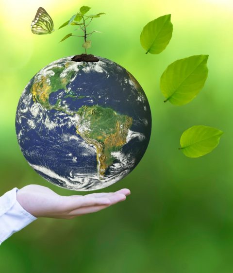 Sustainability Workshops for staff and community engagement