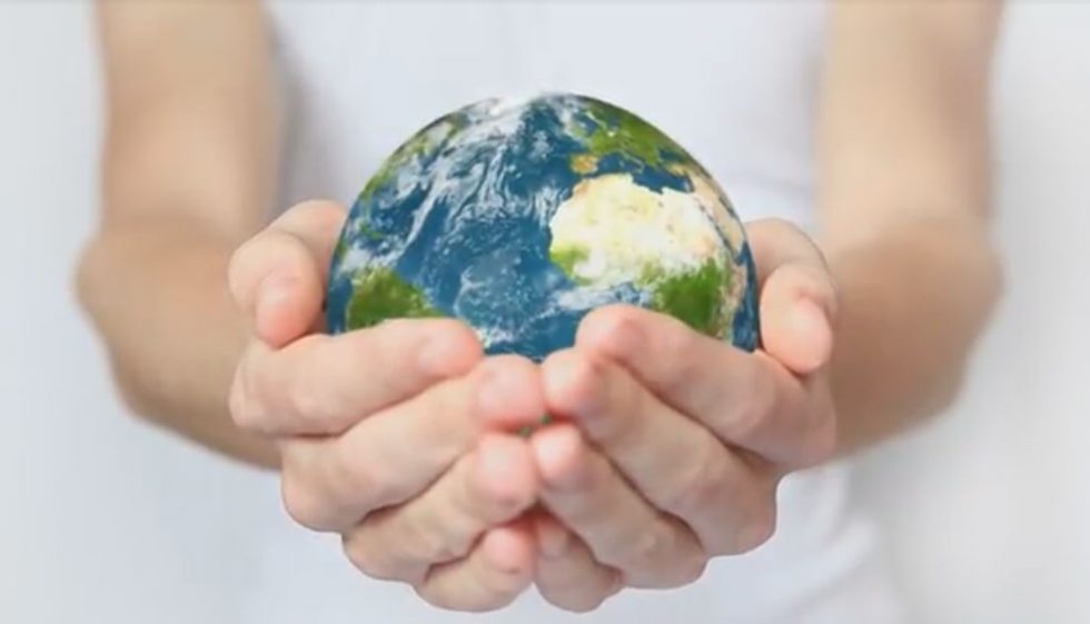 Sustainability Workshops for staff and community engagement